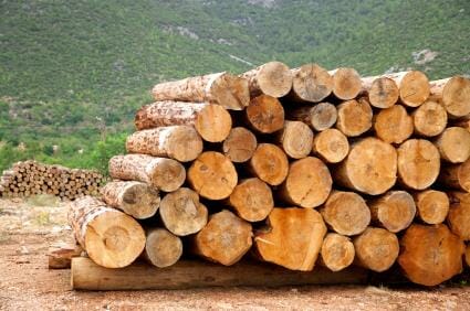 Own A Piece Of 320,000 Acres Of Timberland With This One Investment ...